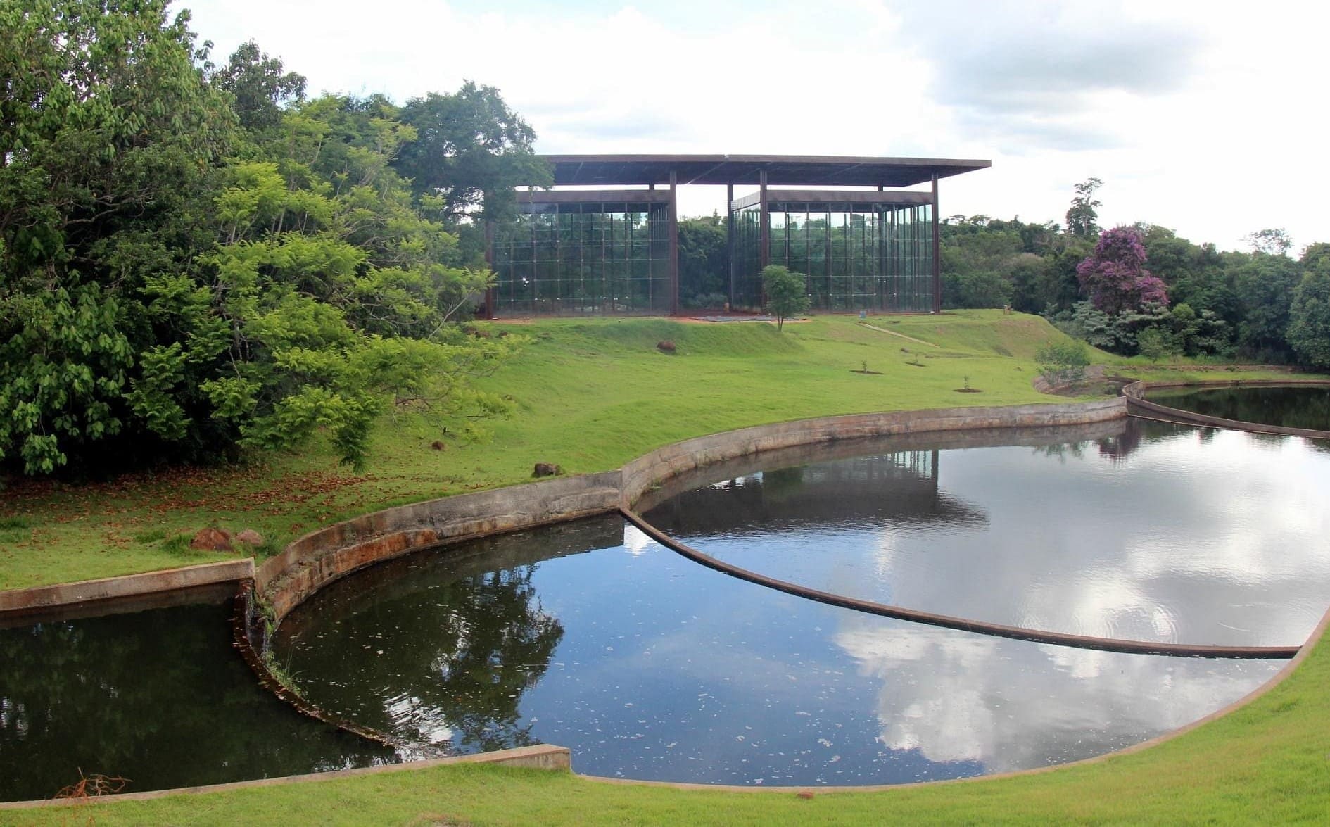 Conheça o Jardim Botânico de Londrina - Blog Cidade Oferta